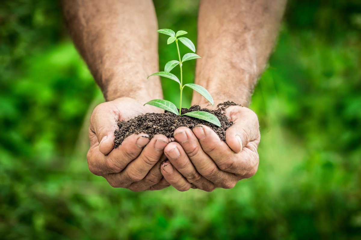 Living In Harmony With The Environment Is An Act Of Tolerance Go